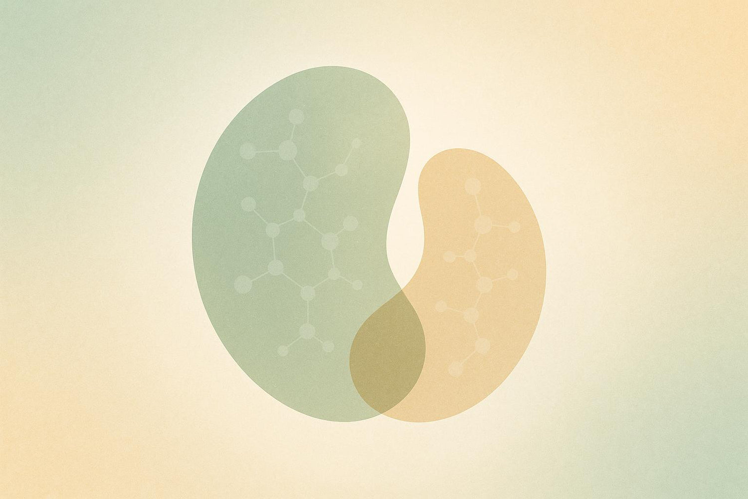 Sublingual vs. Oral Peptide Absorption – MASI Longevity Science