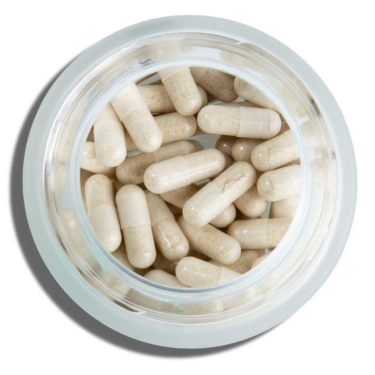 What Is Dendritic Cell Function And Why Is It Crucial In Immunity Masi Longevity Science